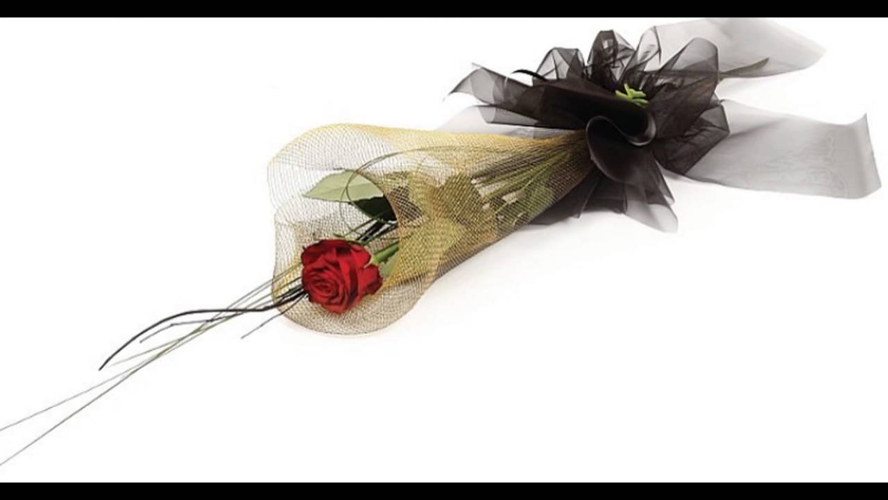 Single Rose Bouquet YouTube single-rose-bouquet-youtube