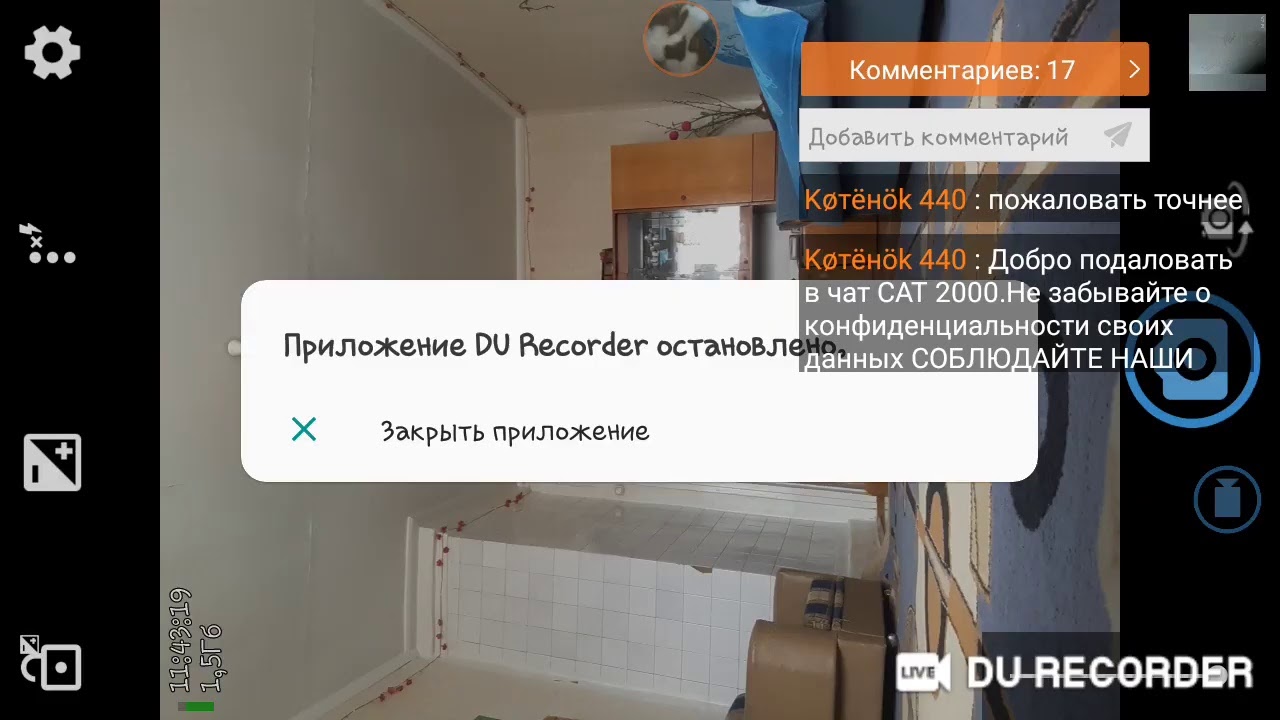 наблюдение за домом прямой эфир - YouTube