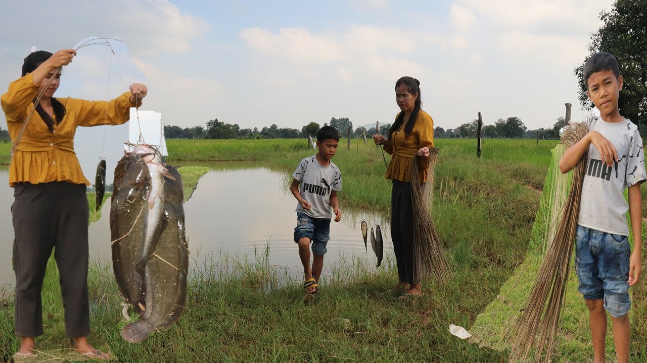 Little Boy And Mommy Fishing At Rice Field In The Countryside | Mommy ...