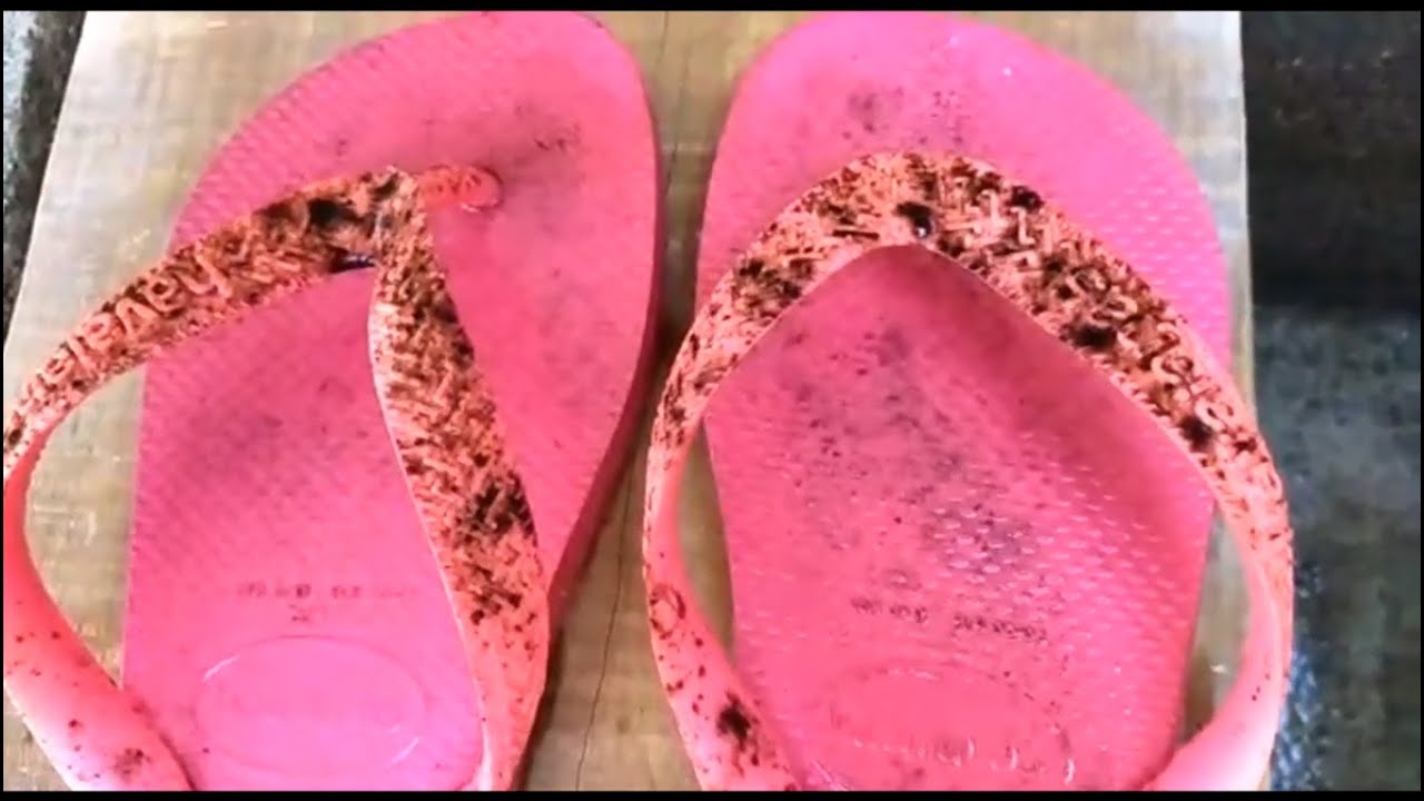 Olha Isso no Meu Chinelo. - YouTube