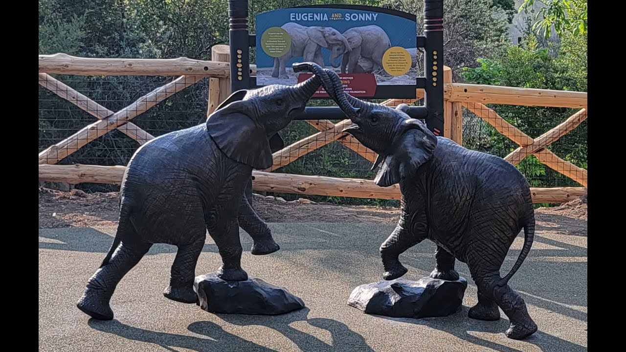 Life-size baby Elephant Sculptures for the Henry Doorly Zoo. - YouTube