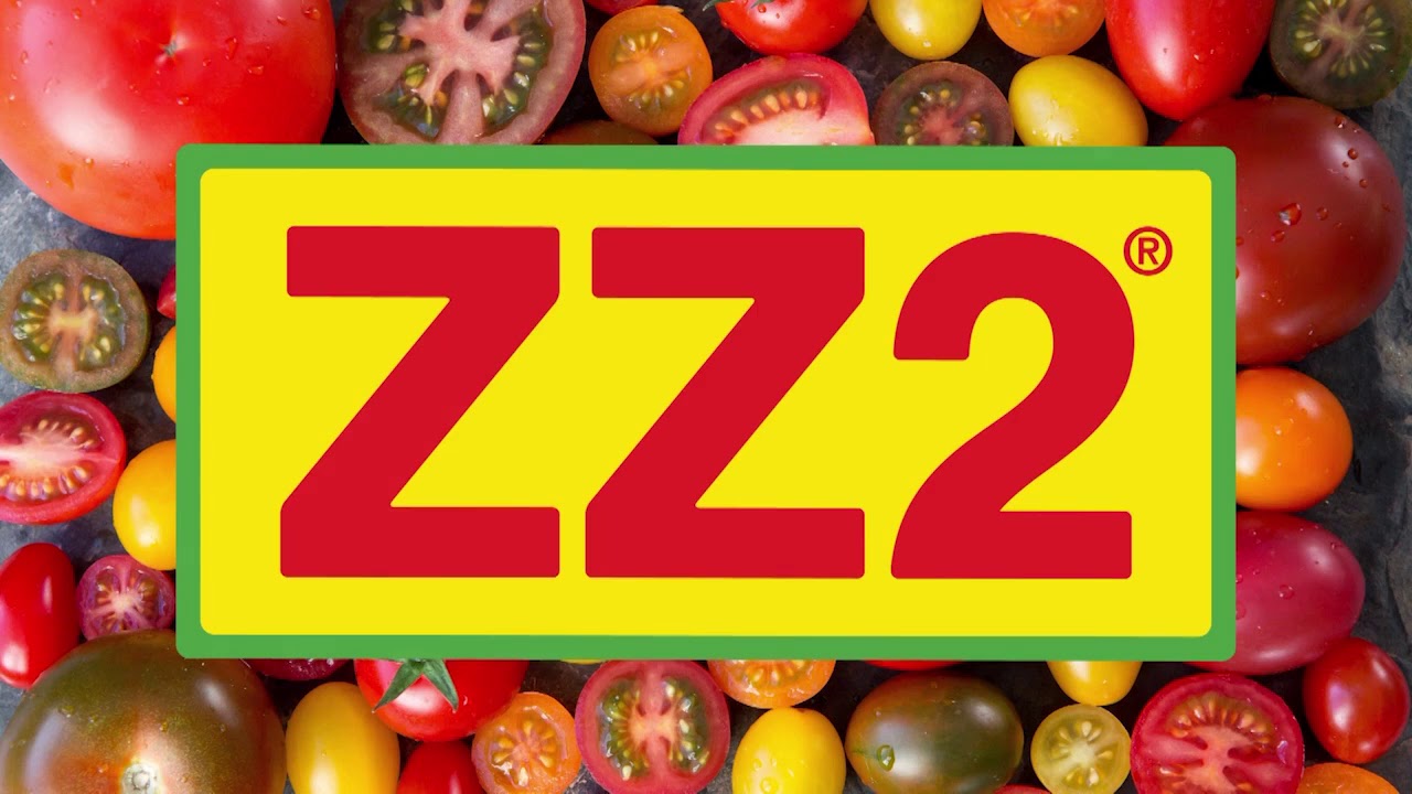 ZZ2 Newsletter 21 - English - YouTube