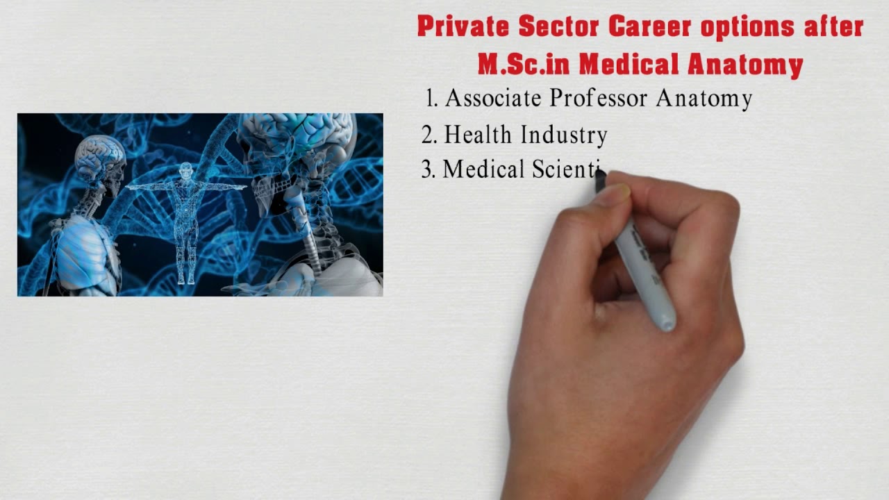 MSc In Medical Anatomy Course What Is Medical Anatomy Admission MSc In Medical Anatomy Course What Is Medical Anatomy Admission