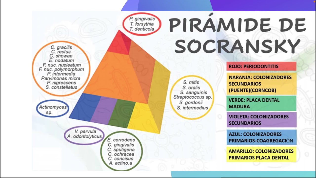 Microbiología Oral - YouTube