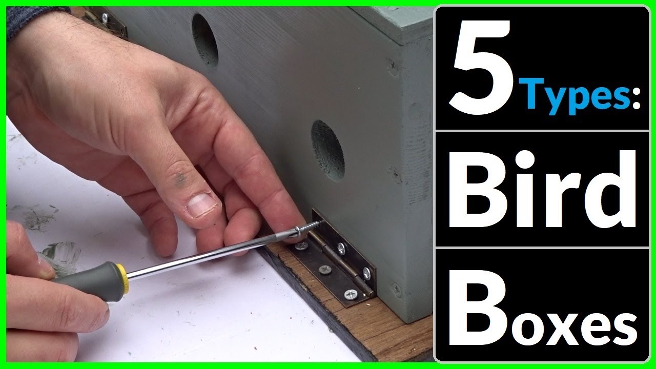 How to Make 5 Different Types of Bird Box for your Garden - YouTube