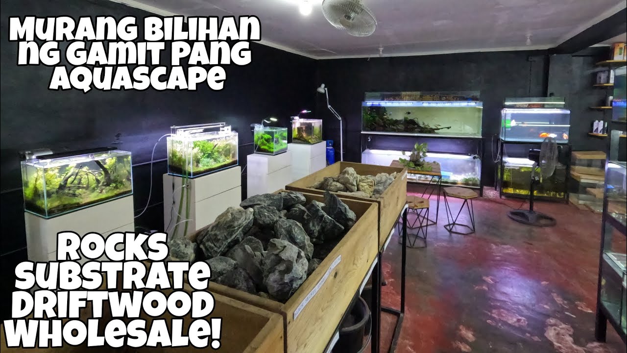 Murang Bilihan ng Gamit Pang AQUASCAPE! ROCKS..SAND..DRIFTWOOD..ETC ...