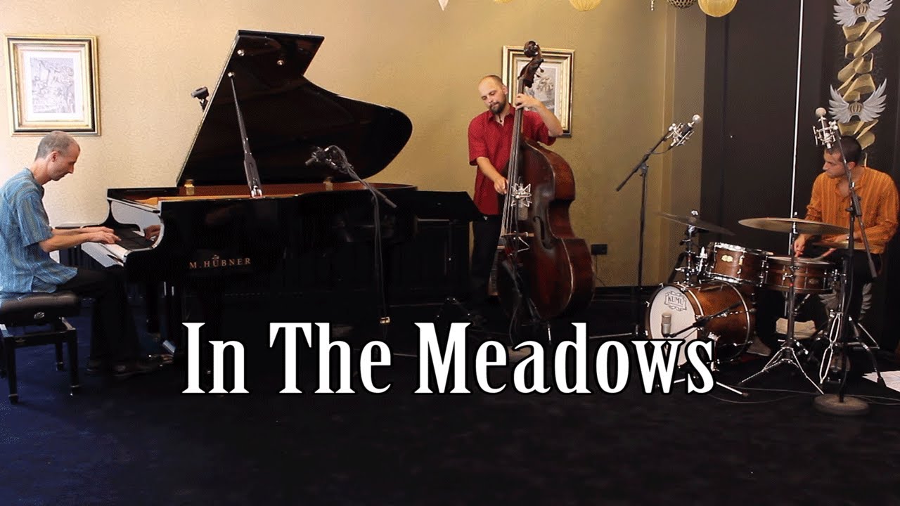 The Marc Mangen Trio "In The Meadows" - YouTube