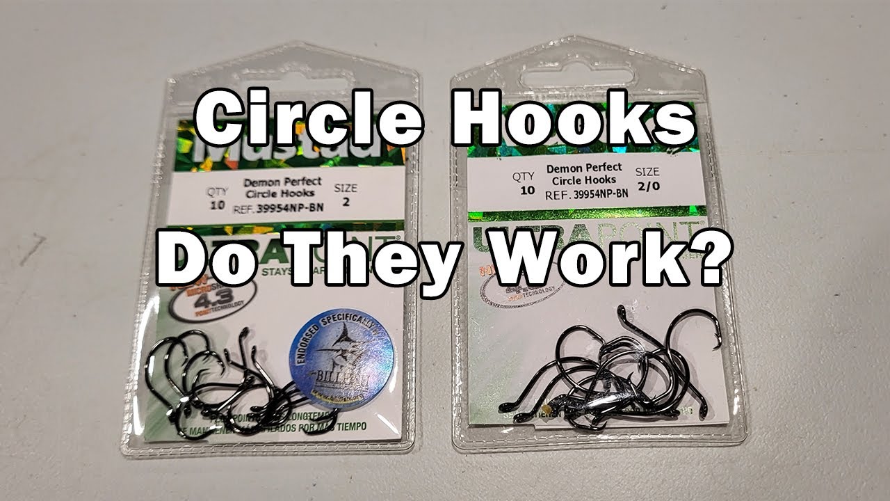 Circle Hooks for Rainbows - Do They Work? - YouTube