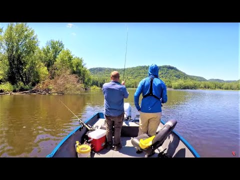 Live Bait Rigs for Mississippi River Walleyes | Rigging Willowcats ...