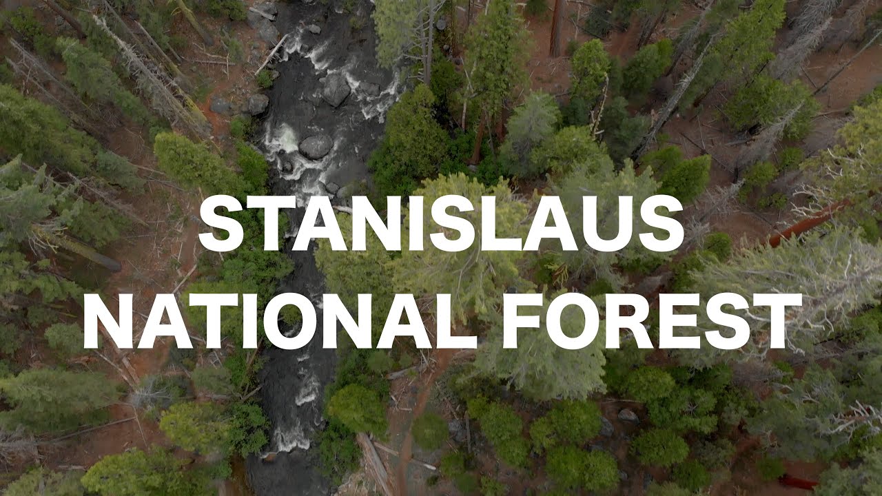 Hiking and Photographing Stanislaus National Forest | 4K - YouTube