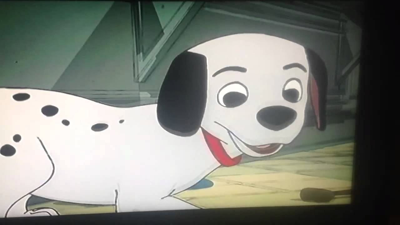 Wipe your paws Disney Junior - YouTube