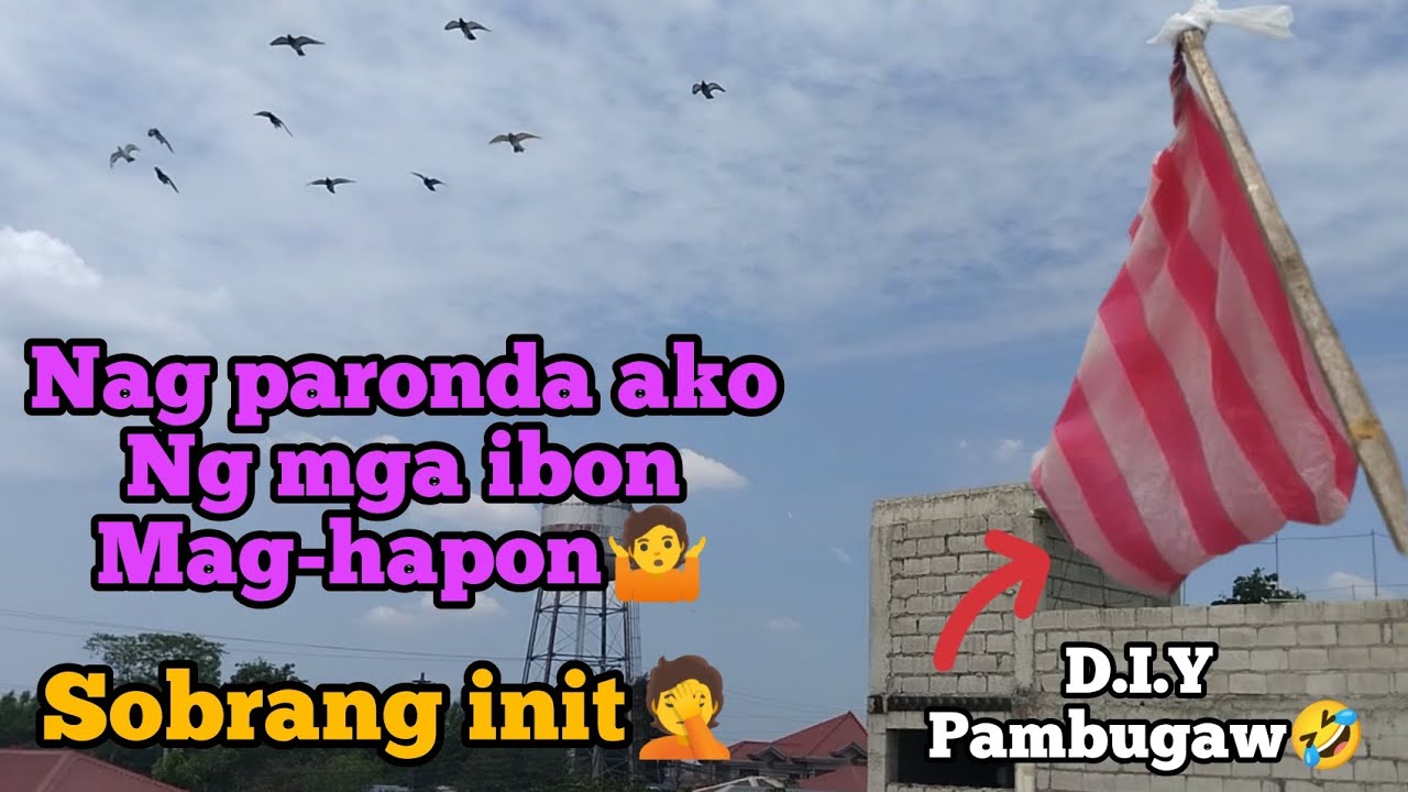 Nag paronda ako ng mga ibon mag-hapon sobrang inet🤦 - YouTube