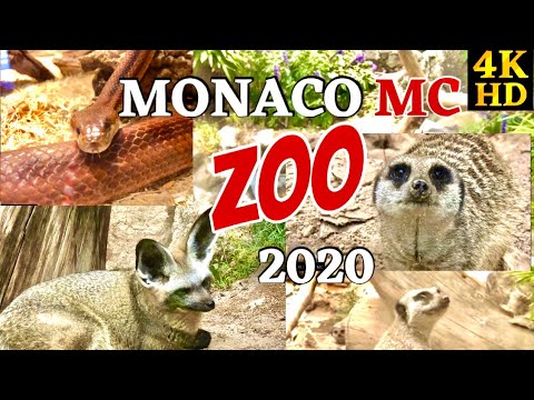MONACO ZOO 2020 4KHD II ZOOLOGICAL GARDEN OF MONACO II JARDIN ANIMALIER ...