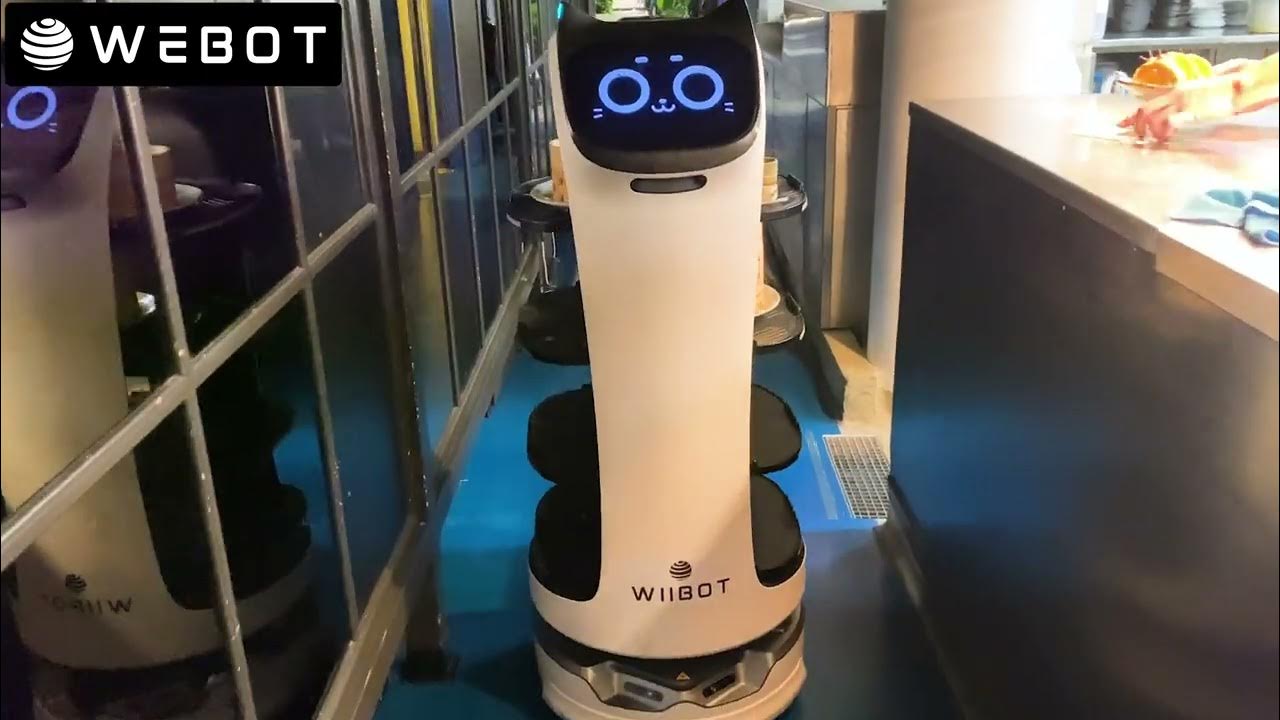 Webot Restaurant & Service Robot - Kök - YouTube
