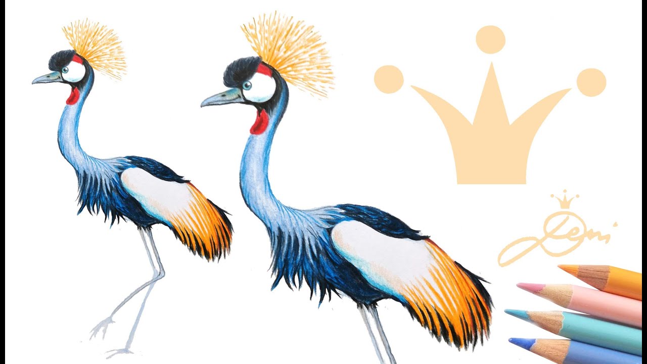 Kranich zeichnen lernen, Vogel realistisch schnell einfach malen, How ...