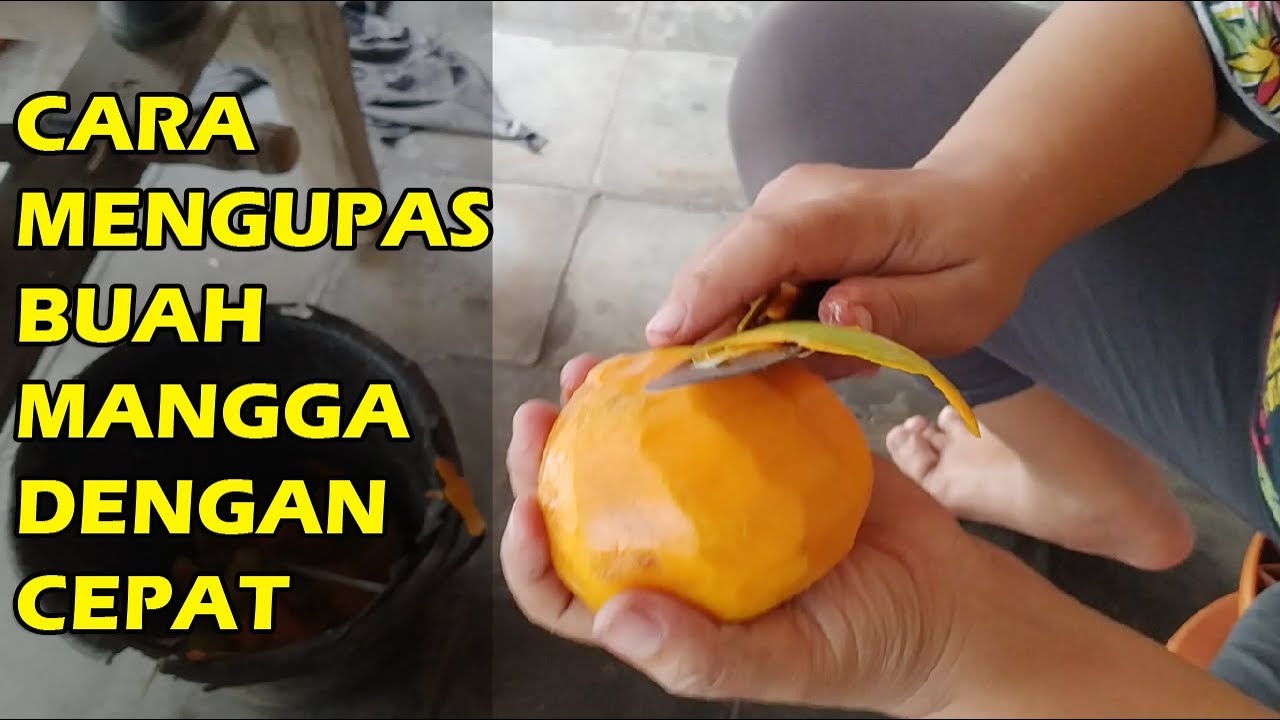 √ Cara mengupas buah Mangga dengan Mudah dan Cepat | Daily Tutorials ...