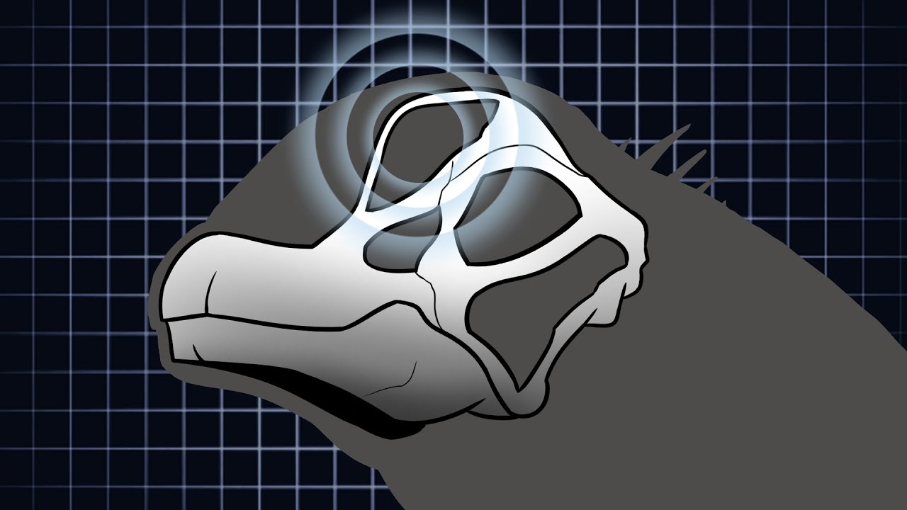 What Did BRACHIOSAURUS Sound Like? - YouTube