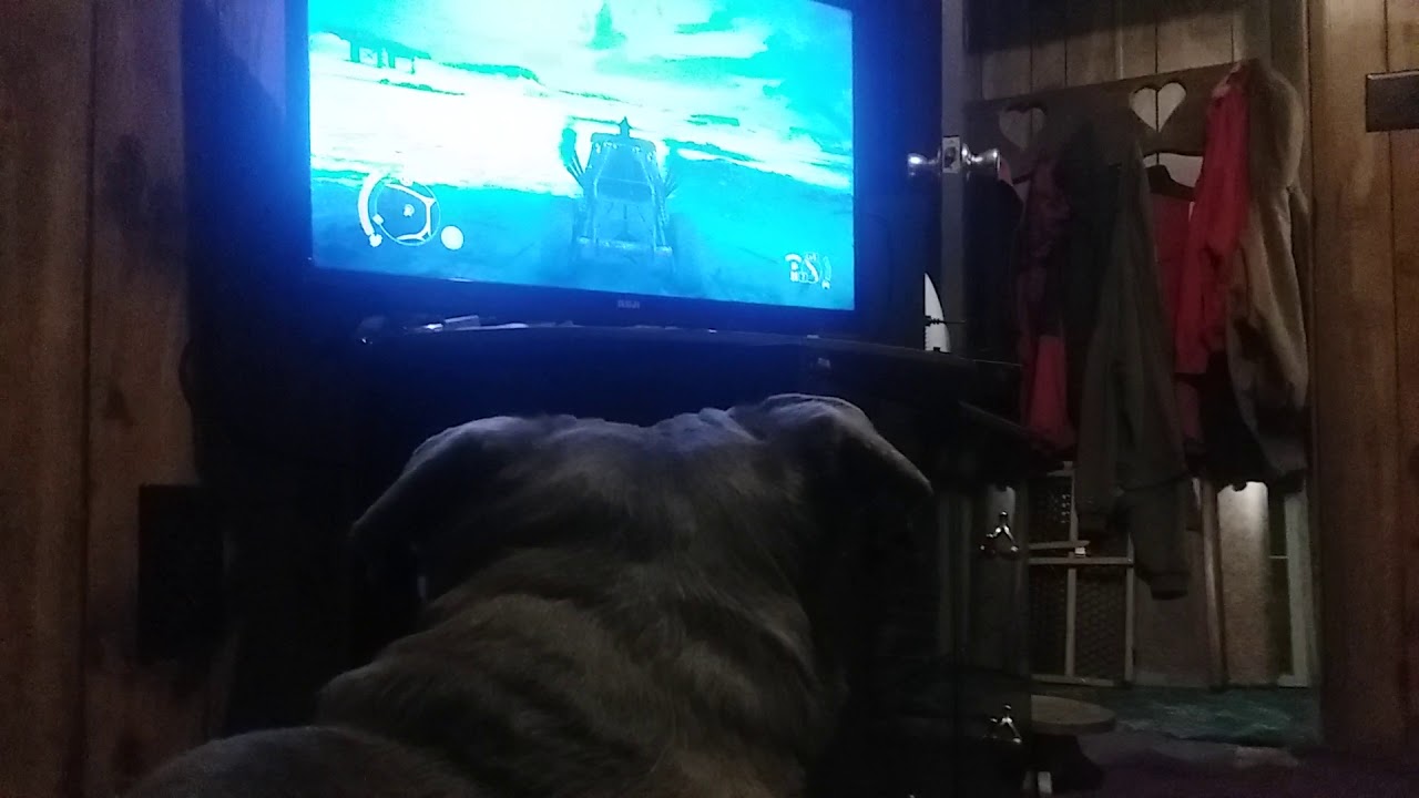 Doggo Bork - YouTube