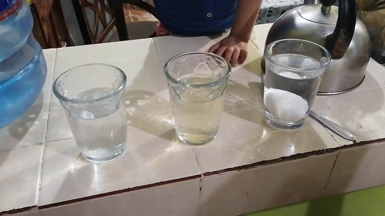 Experimento huevo en agua, agua con azúcar y agua con sal - YouTube
