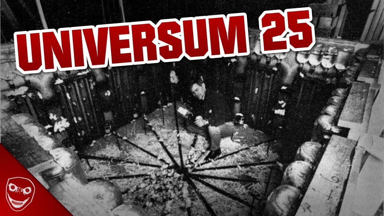 Das verstörendste EXPERIMENT! Mäuse Utopia - Universum 25! - YouTube