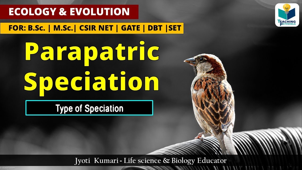 Parapatric Speciation || Species & speciation Type | CSIR NET| GATE | BARC | SET | EVOLUTION ...