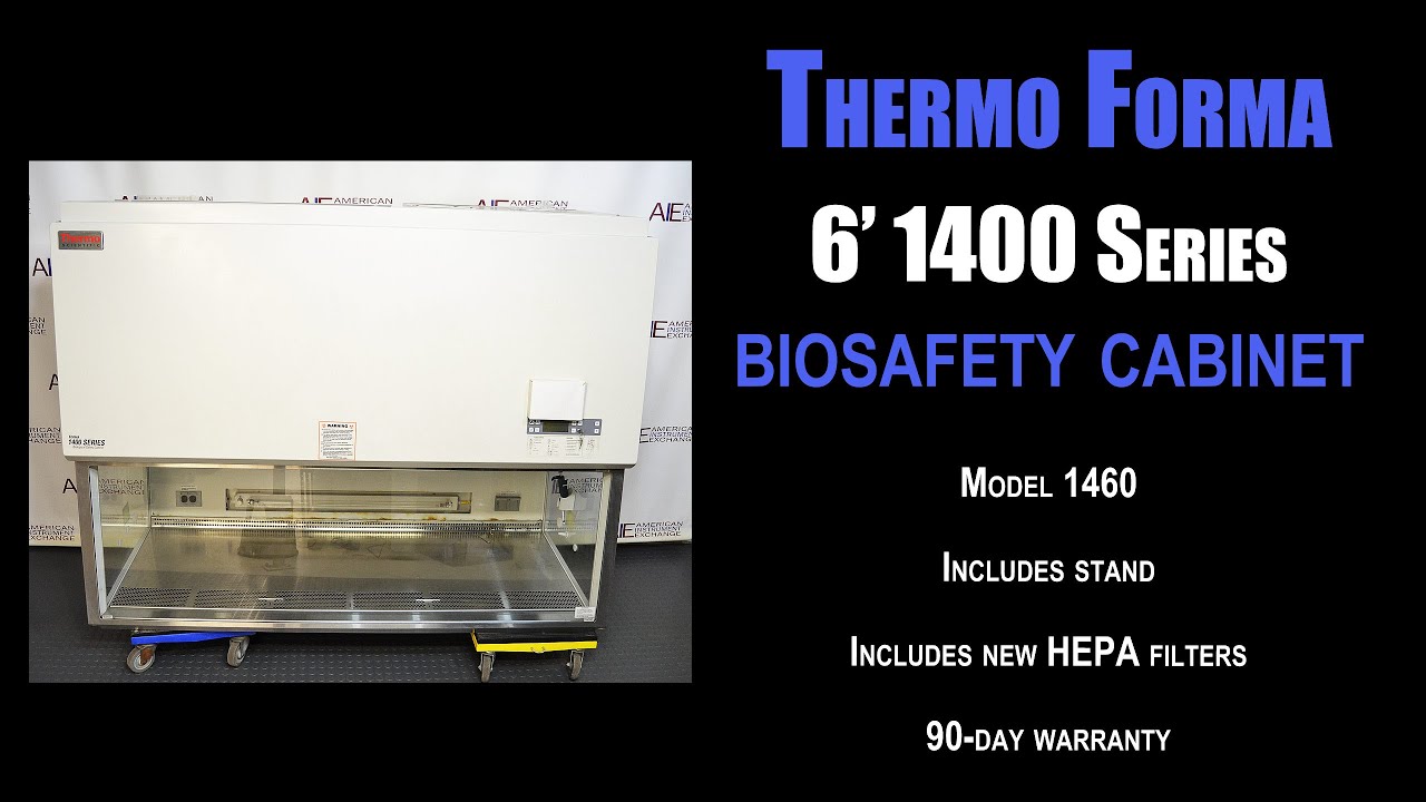 Thermo Forma 1400 Series Biological Safety Cabinet (0870UUU BIO CAB ...