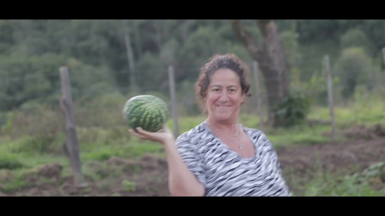 Uma Pequena homenagem ao grande Pedrão Mentiroso. - YouTube