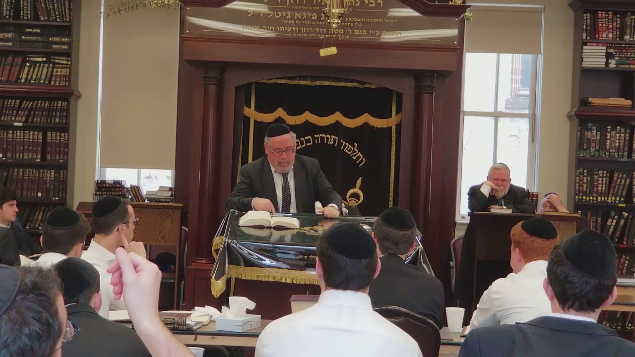 Rav Shteinman 's zt'l Tzavah read and explained by Horav Michoel ...