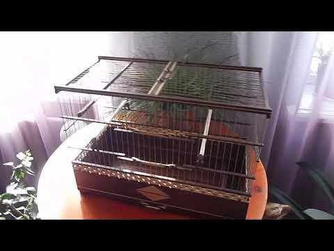 Клетка для певчих птиц.канареек. - YouTube