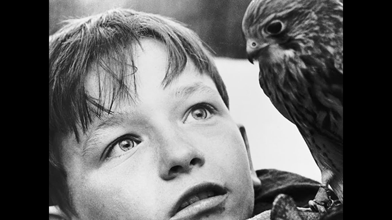 KES STORY EXPLAINED BY BARNSLEY MAN #kes #barnsley #twitch #england ...