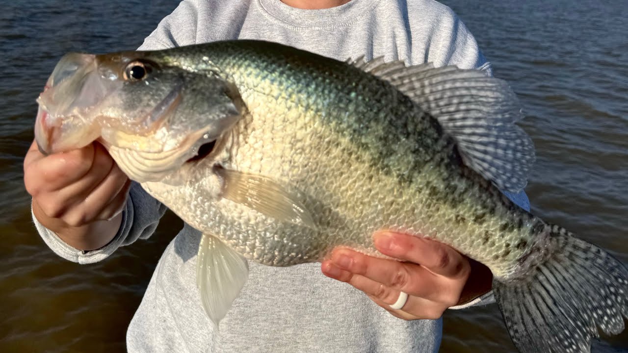 Grenada Lake 3 pound Crappie - YouTube