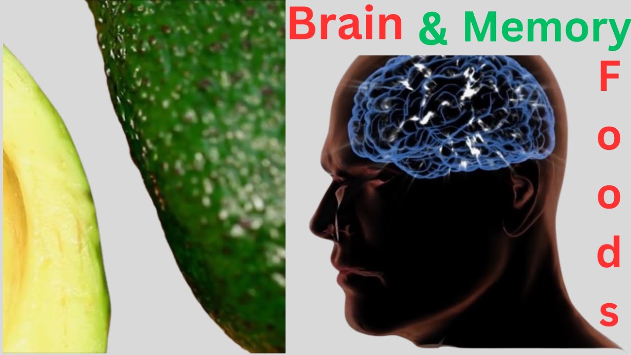 Top 10 Best Foods To Boost Your Brain And Memory And Concentration ...
