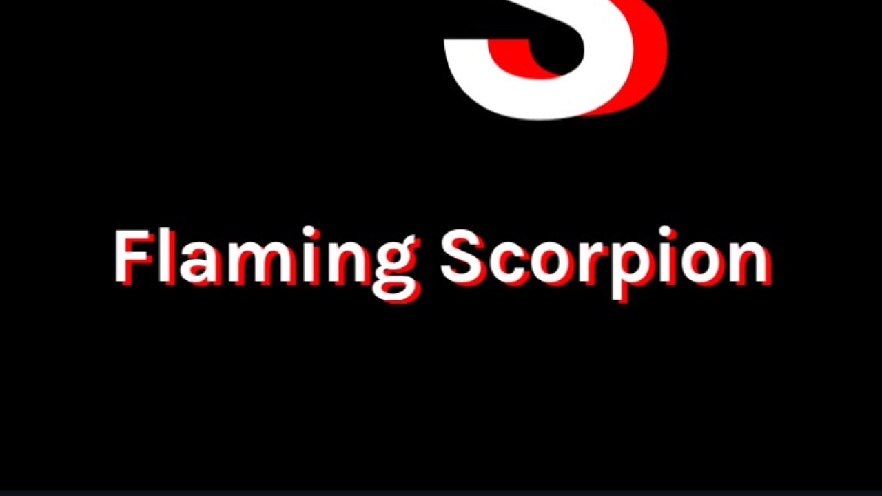 Flaming Scorpion Live Stream - YouTube
