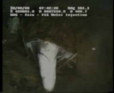 monkfish attack - YouTube