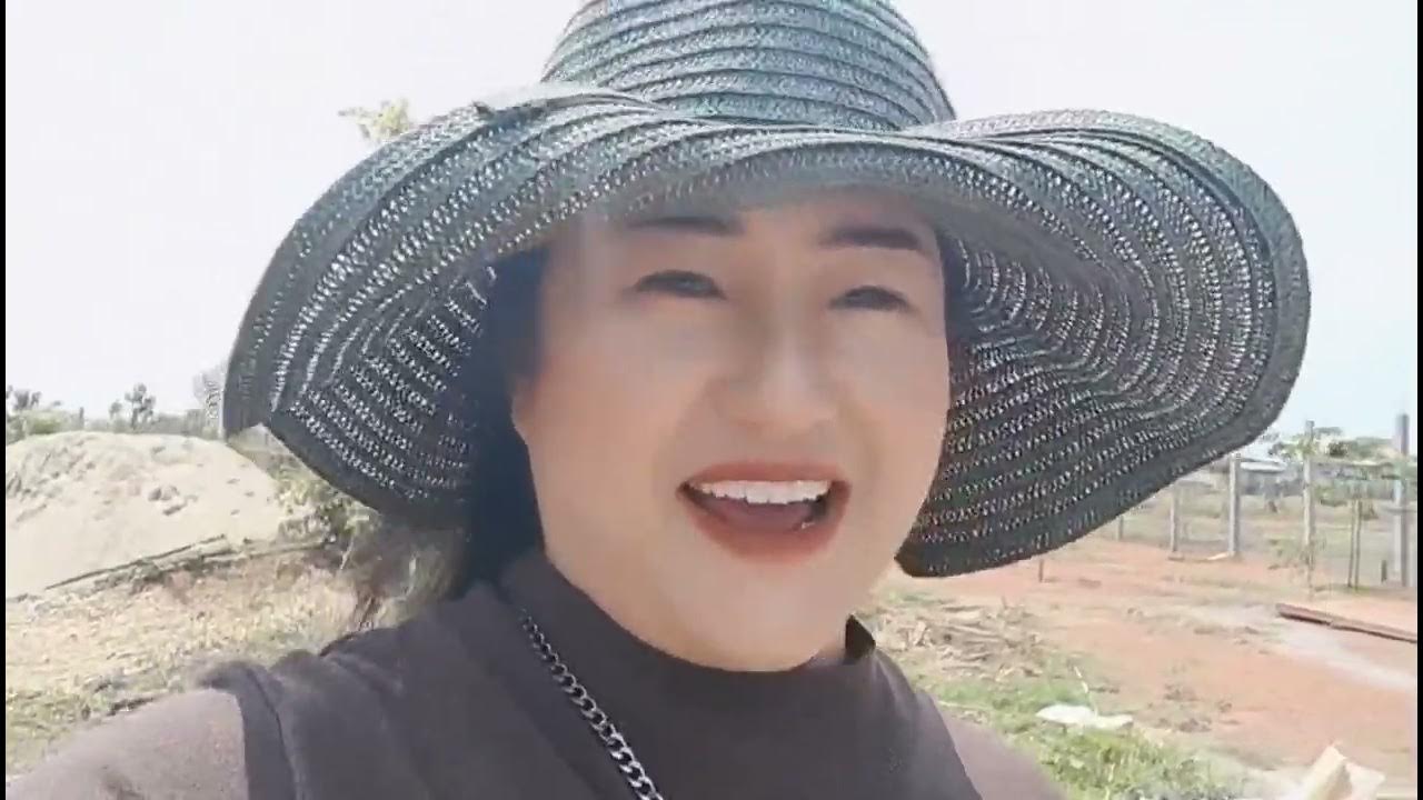 tau ob peb hnub no lawm rov mu saib plog ua tsev os 22/03/2024 - YouTube