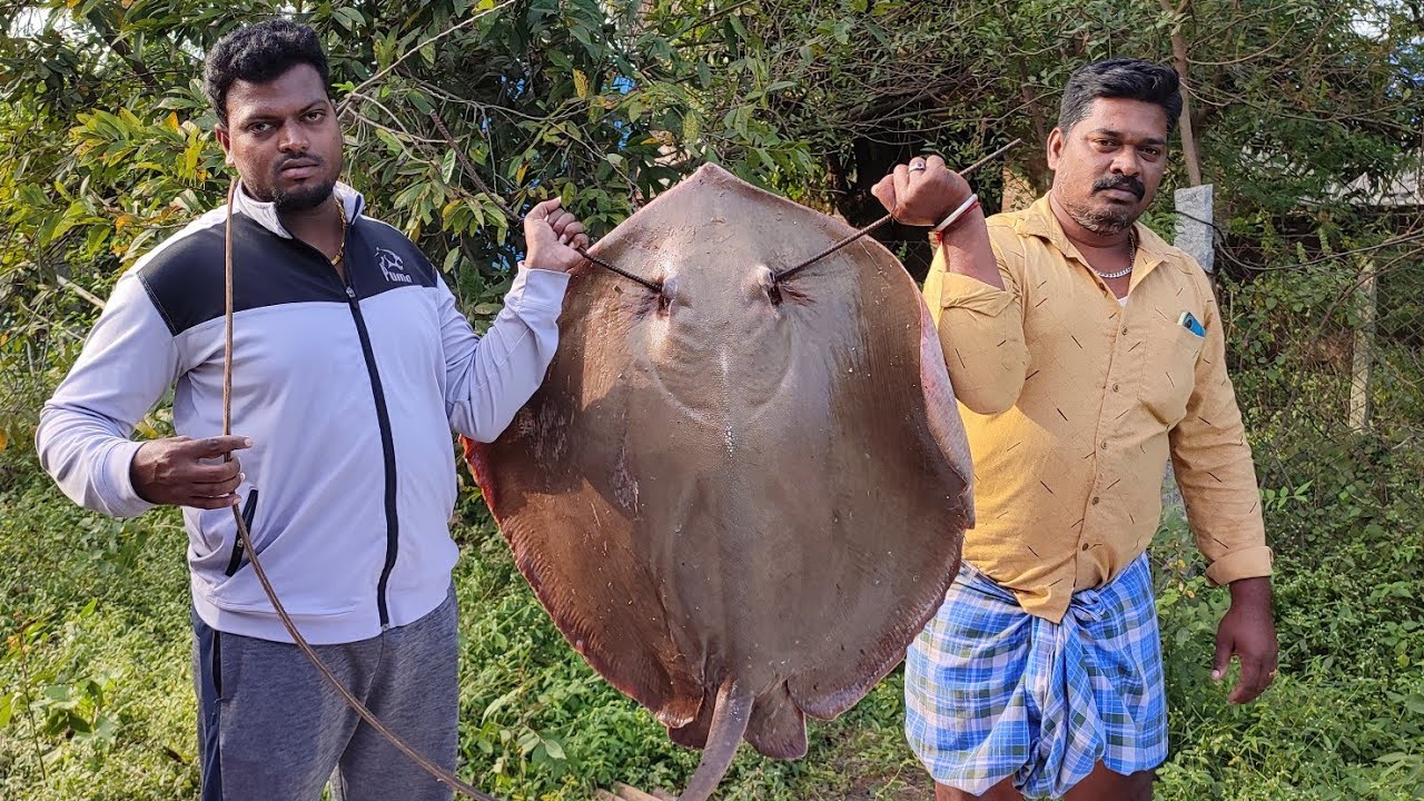 STINGRAY FISH | 30 KG | FISH FRY | CUTTING & COOKING IN OUR VILLAGE BY ...