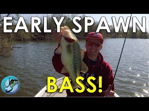 The Key To Finding Spawning Bass | Bass Fishing Strategies - YouTube