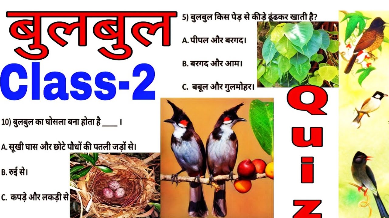 QUIZ (Test Yourself) बुलबुल / हिन्दी कक्षा 2 / Bulbul / Class-2 Hindi ...