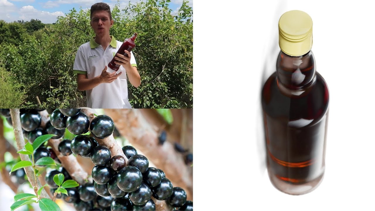 Como fazer LICOR DE JABUTICABA (RÁPIDO E SIMPLES) - YouTube