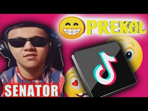 🤣SENATOR HAQIDA QIZIQARLI PRIKOL VIDEOLAR // @SENATOR PUBGM