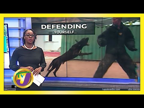 Self-Defense Against Dog Attacks | TVJ News