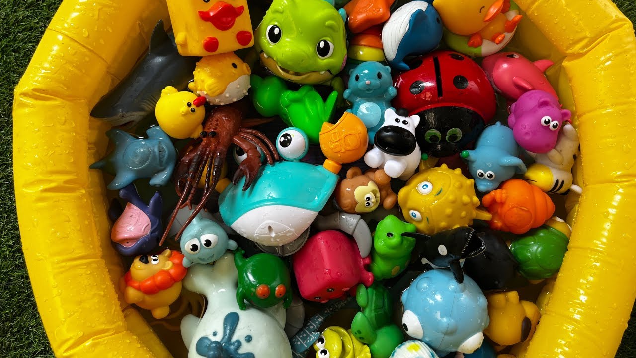 Learn Sea Animal Names and Fun Facts with Water Toys| Learn Sea Animal ...