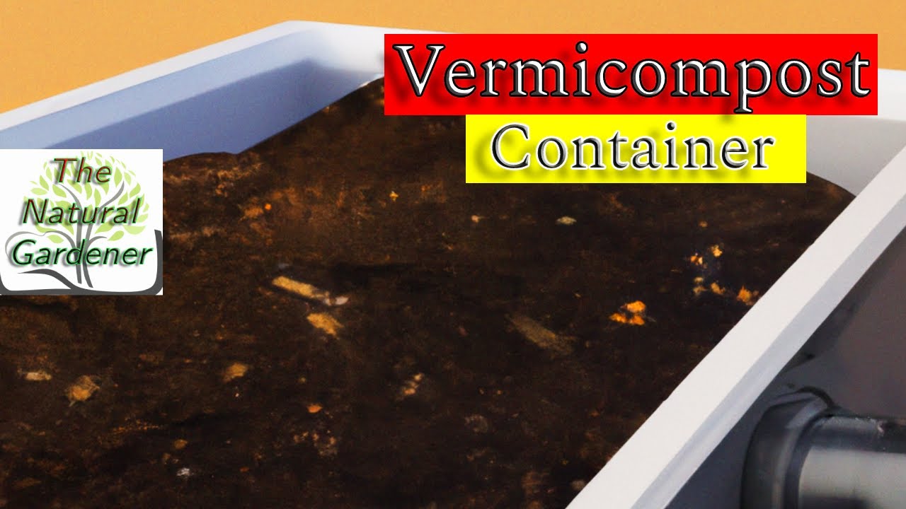 Easy Vermicomposting: How to Process Organic Waste in a Container - YouTube