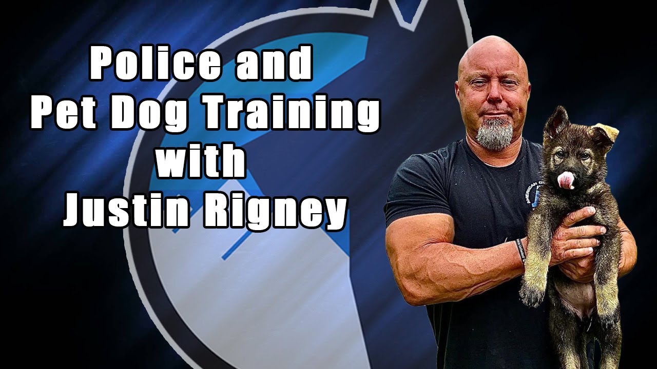 Episode 11 | Police and Pet Dog Training with Justin Rigney - YouTube