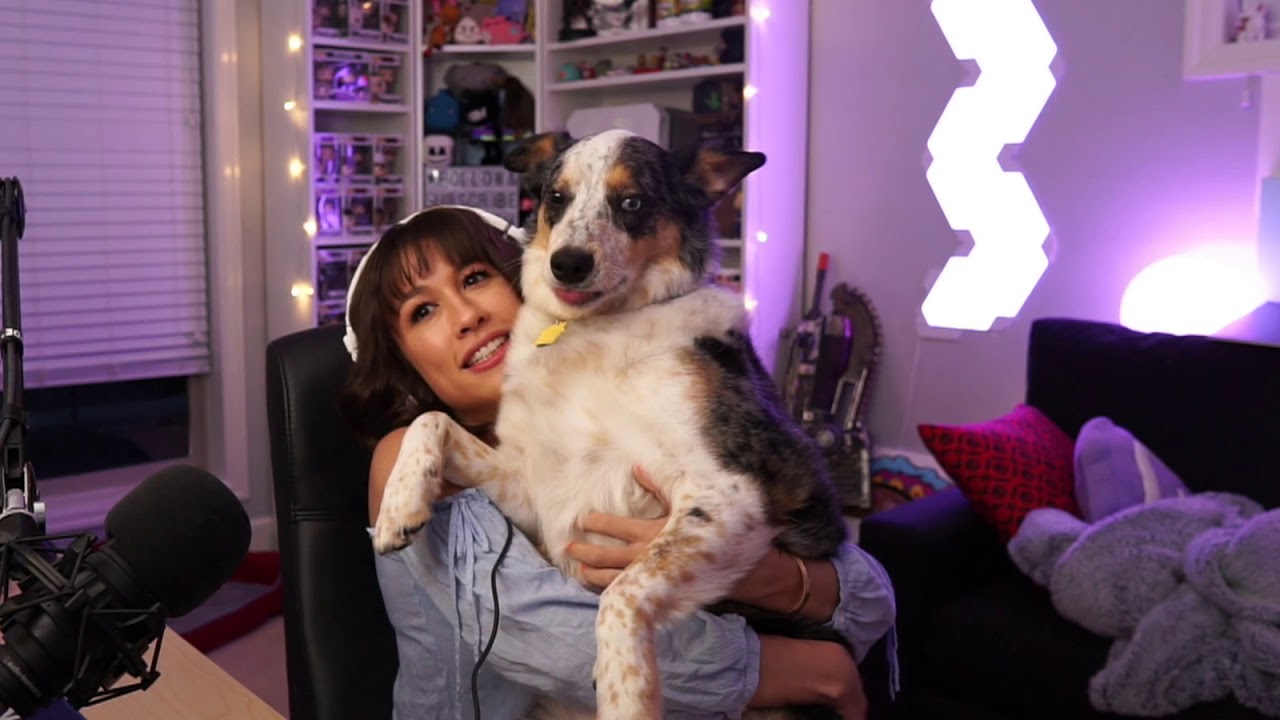 Apex Legends - (DOG) ooooOH that feels good (Femsteph) - YouTube