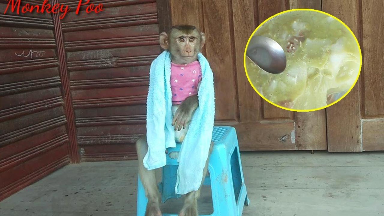 So cute Baby,Poo sat waiting for his dad to give him jelly to eat - YouTube