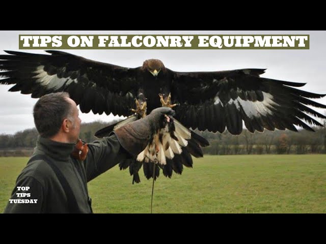 Falconry Equipment
