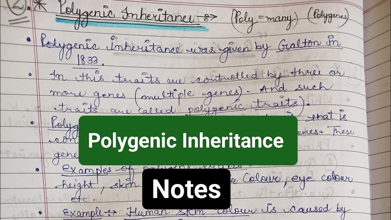 Polygenic Inheritance / examples/ quantitative genetics #easynotes #bsc ...