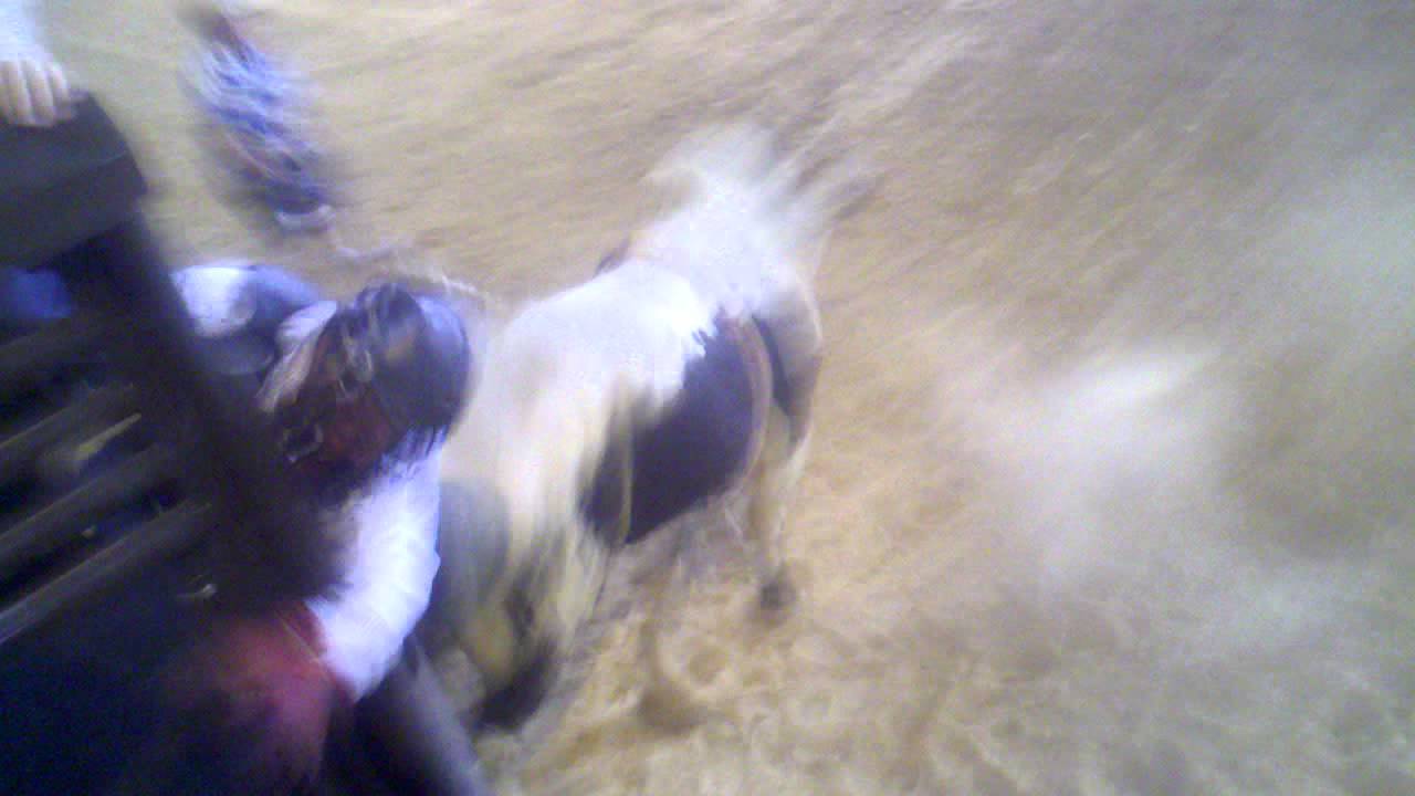 Ryan Jessop - YouTube