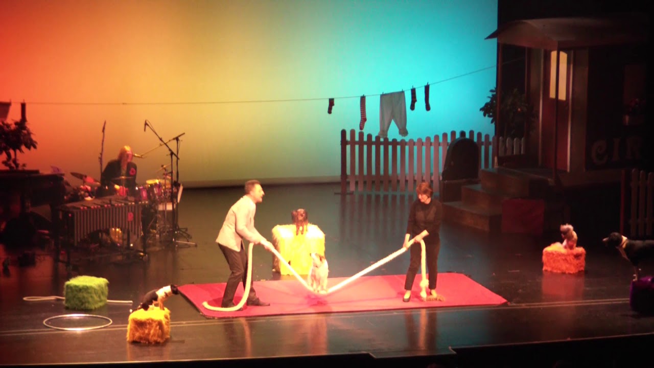 Comedy Dog Show. München - YouTube